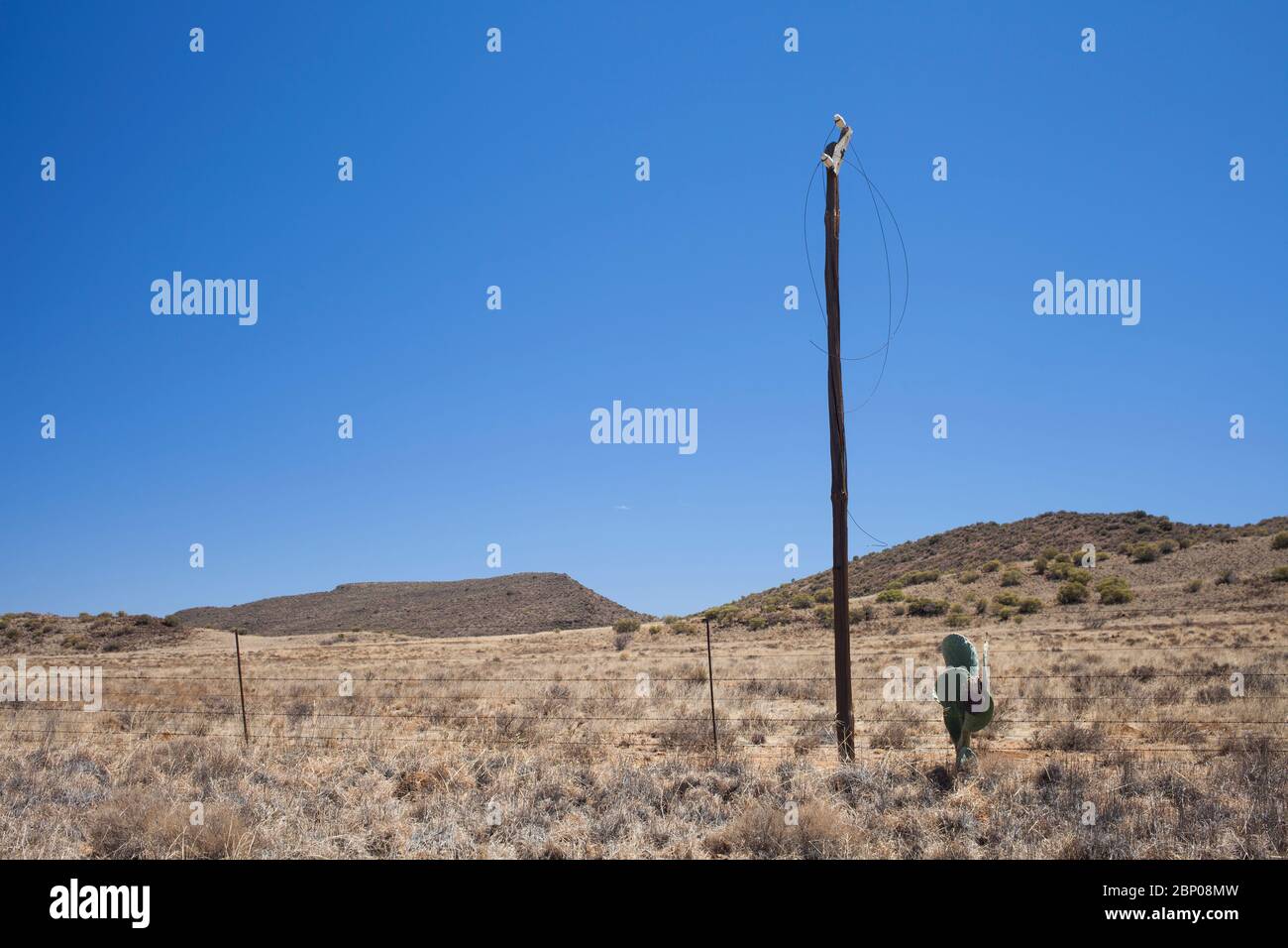 Fixed To Wires High Resolution Stock Photography and Images - Alamy
