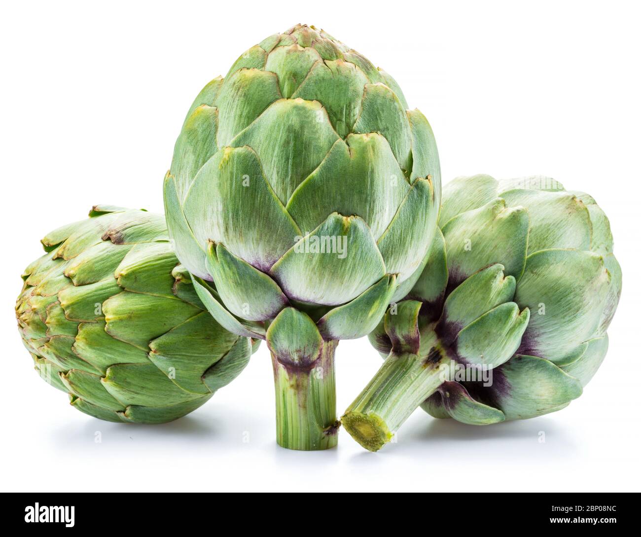 Artichoke flower edible buds isolated on white background Stock Photo ...