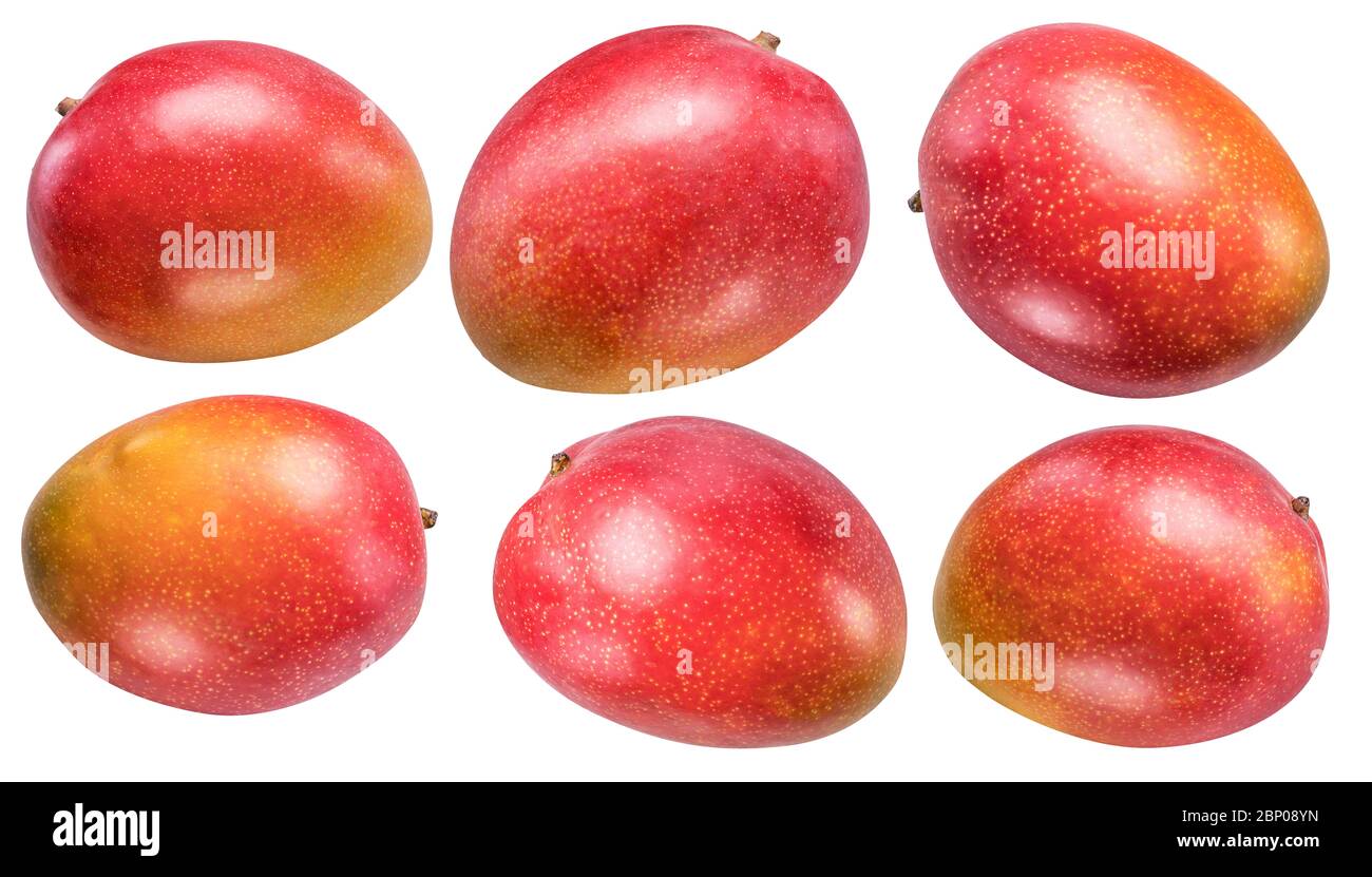 Set of whole mango fruits isolated on a white background. File contains ...