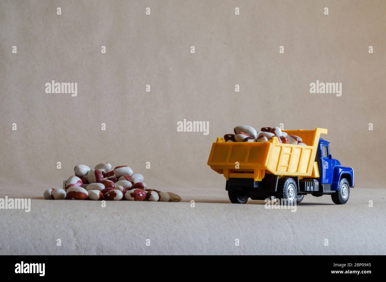 Yellow Truck with anasazi bean full body. A toy car transports dry bean ...