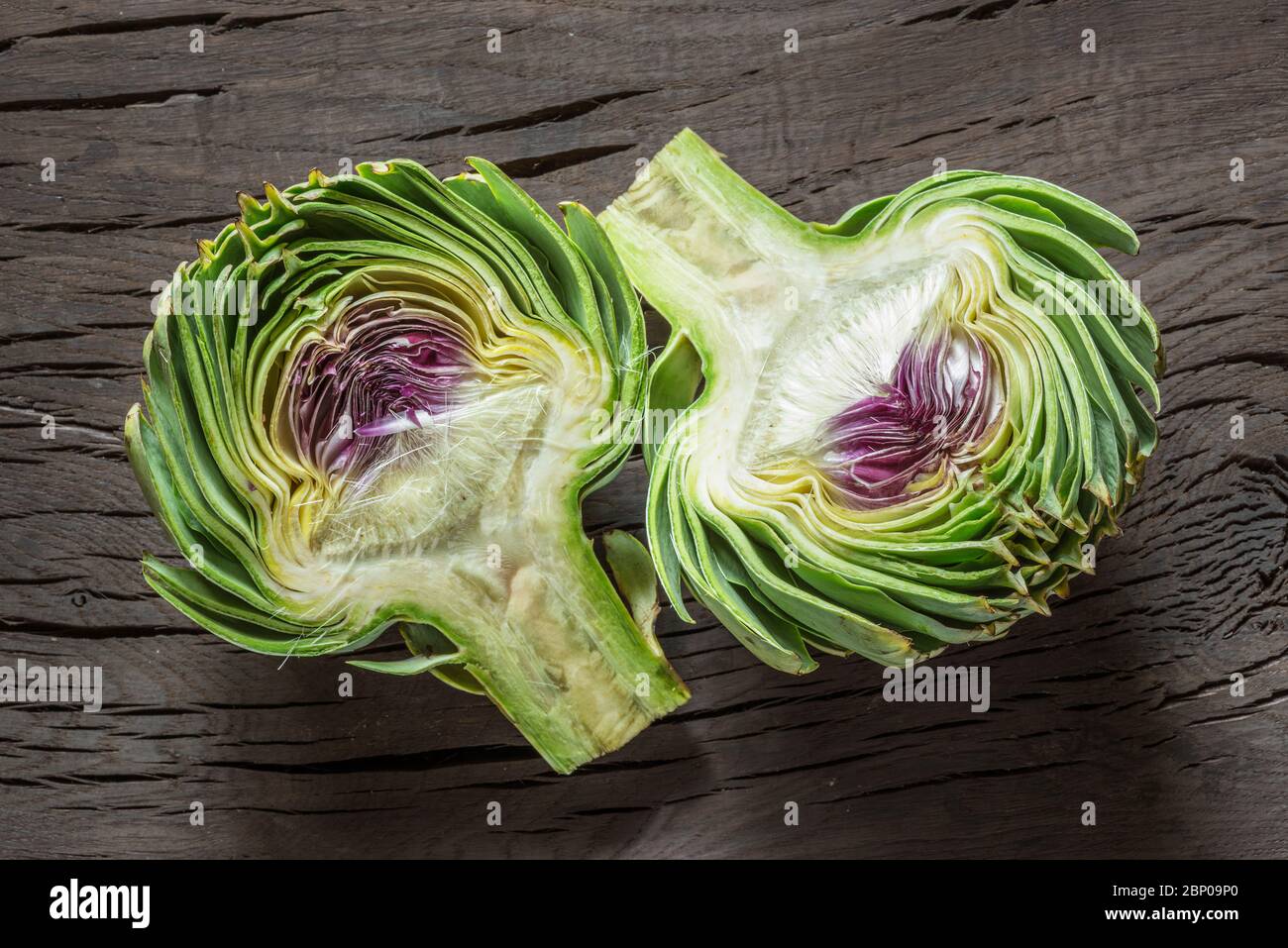 Types of buds hi-res stock photography and images - Alamy