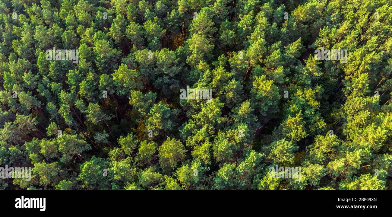 Evergreen aerial hi-res stock photography and images - Alamy