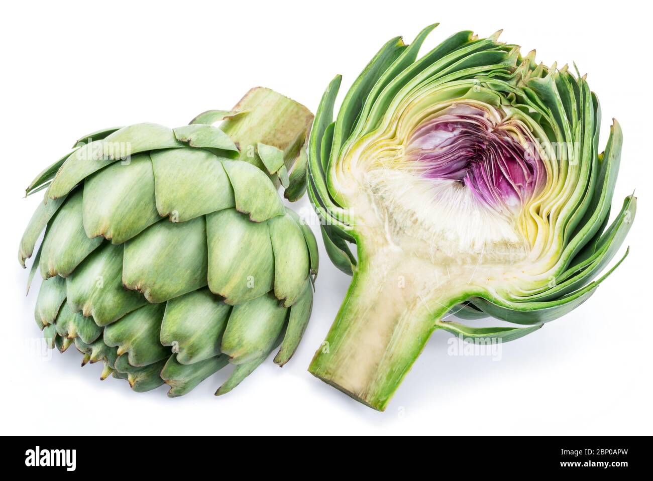 Artichoke flower edible buds isolated on white background. Close-up ...