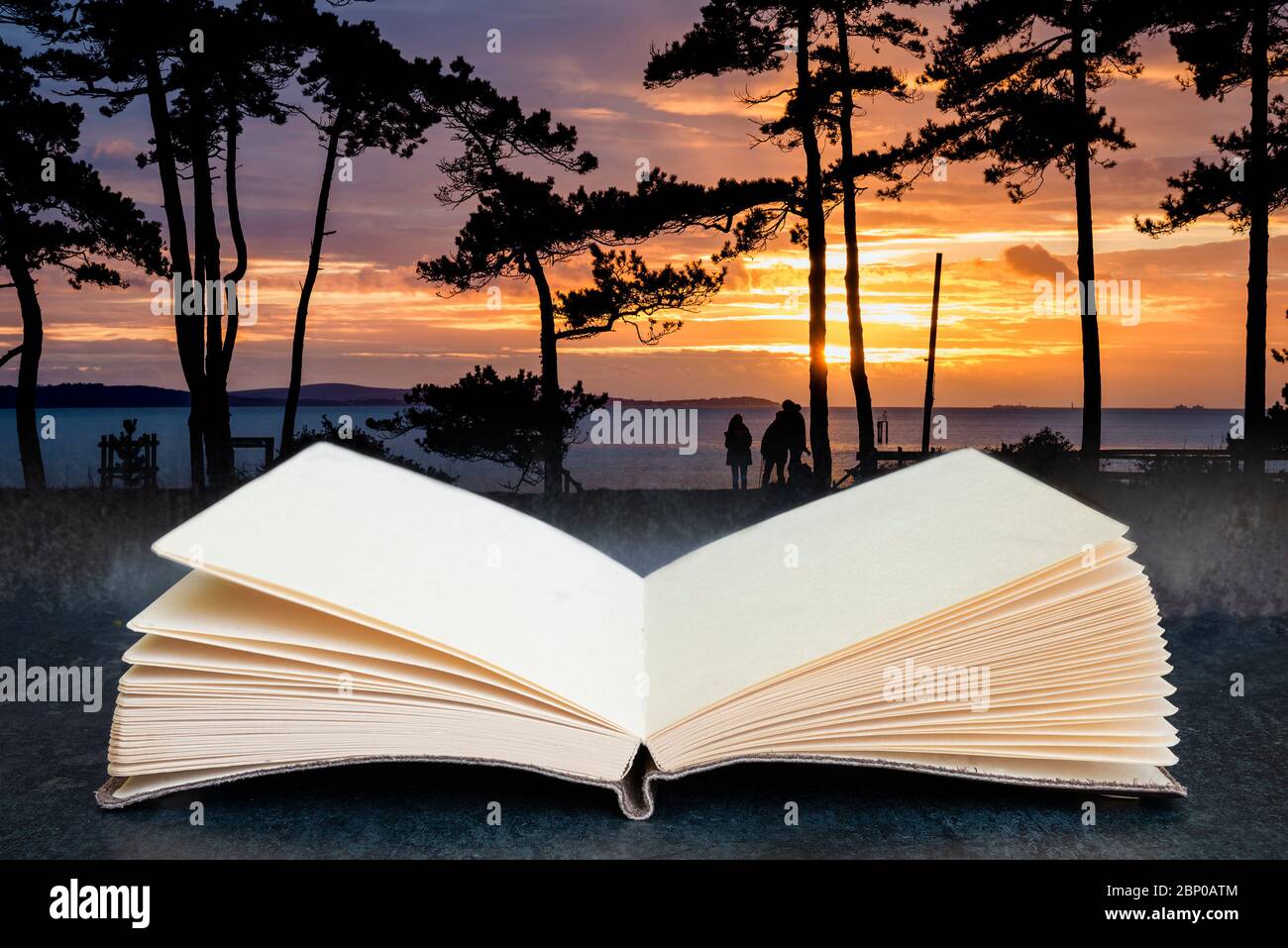 Conceptual composite open book image of stunning sunset silhouette of ...