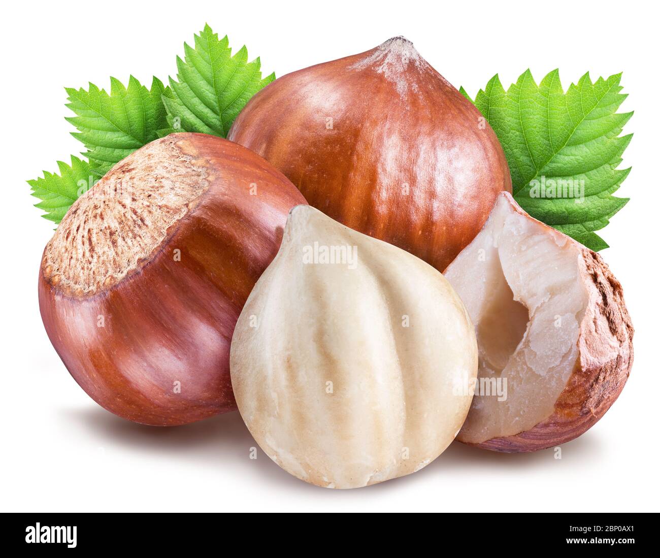 Hazelnuts with shell, hazel leaves and peeled nut isolated on a white ...