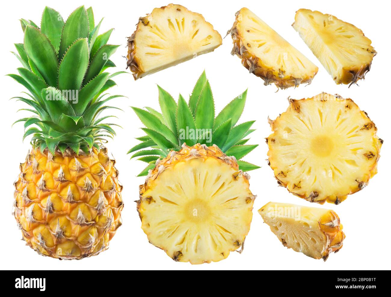 Collection of pineapple and different pineapple fruit slices isolated ...