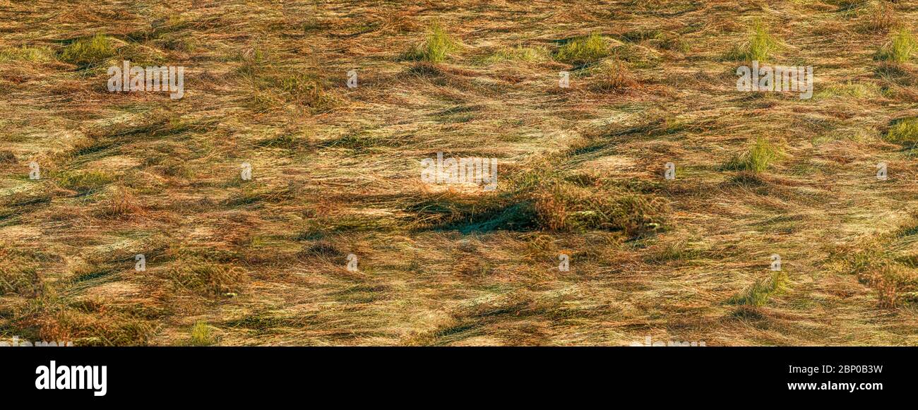 Rectangular background of grass field ground Stock Photo - Alamy