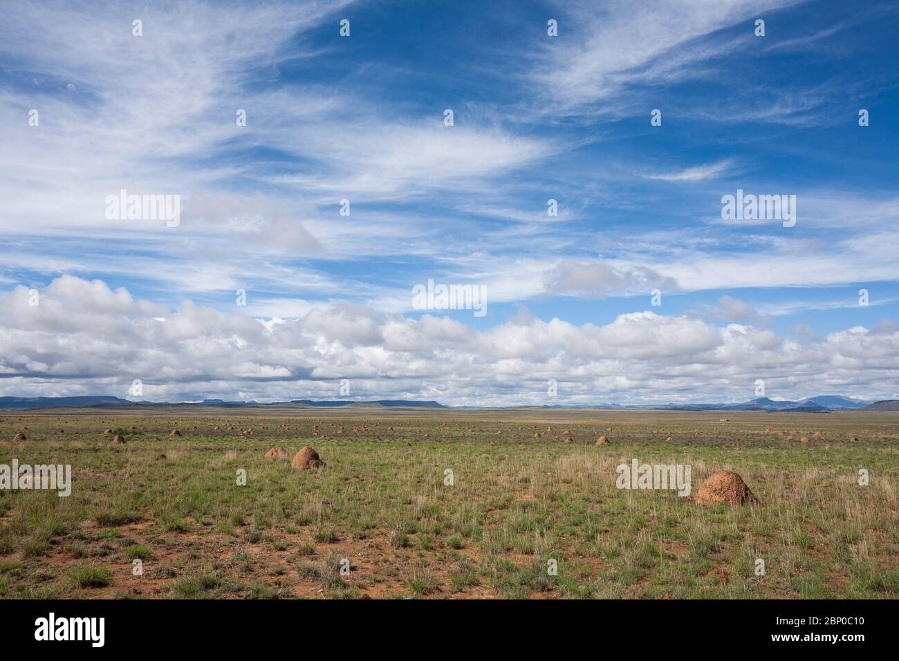 Grassland Biome High Resolution Stock Photography and Images - Alamy