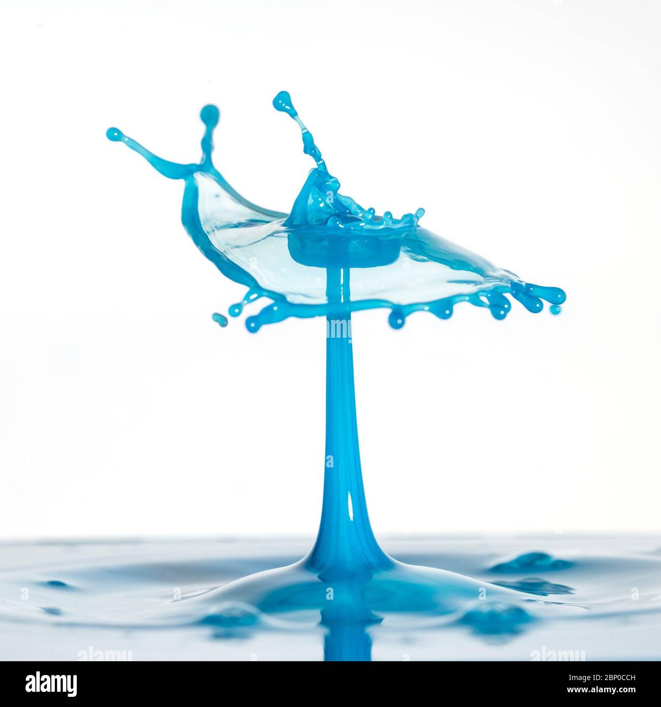 Stunning unique abstract water splash photography images with vibrant ...