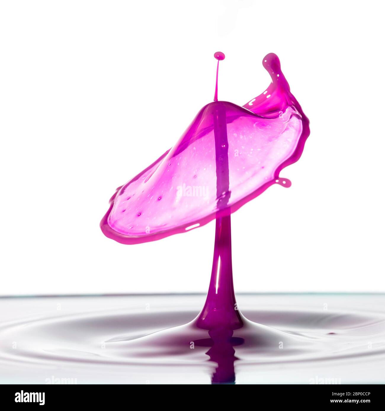 Stunning unique abstract water splash photography images with vibrant ...