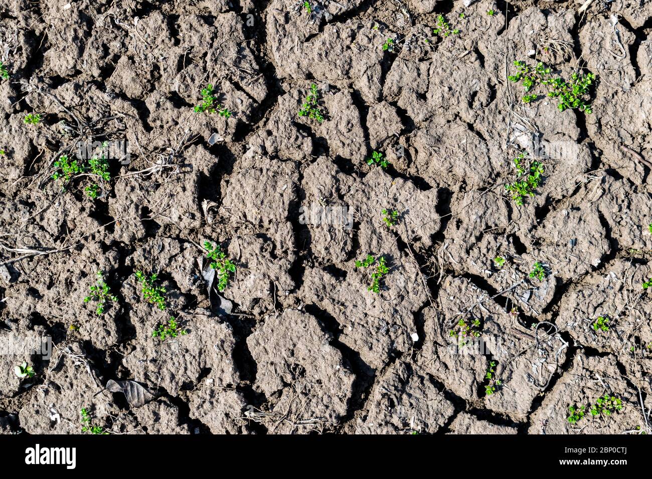 Dry soil erosion texture background Stock Photo - Alamy