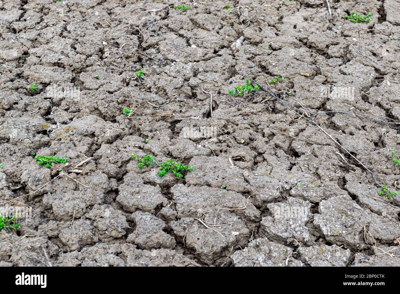 Dry eroded soil background texture Stock Photo - Alamy Dry eroded soil background texture Stock Photo - Alamy