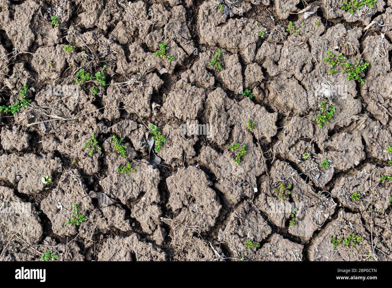 Dry soil erosion background texture Stock Photo - Alamy