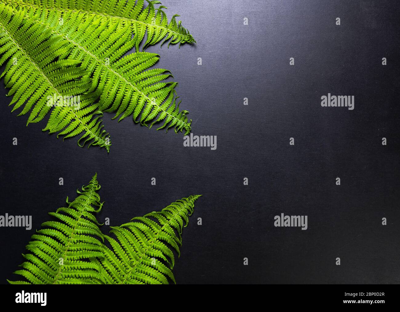 Graphite background hi-res stock photography and images - Alamy