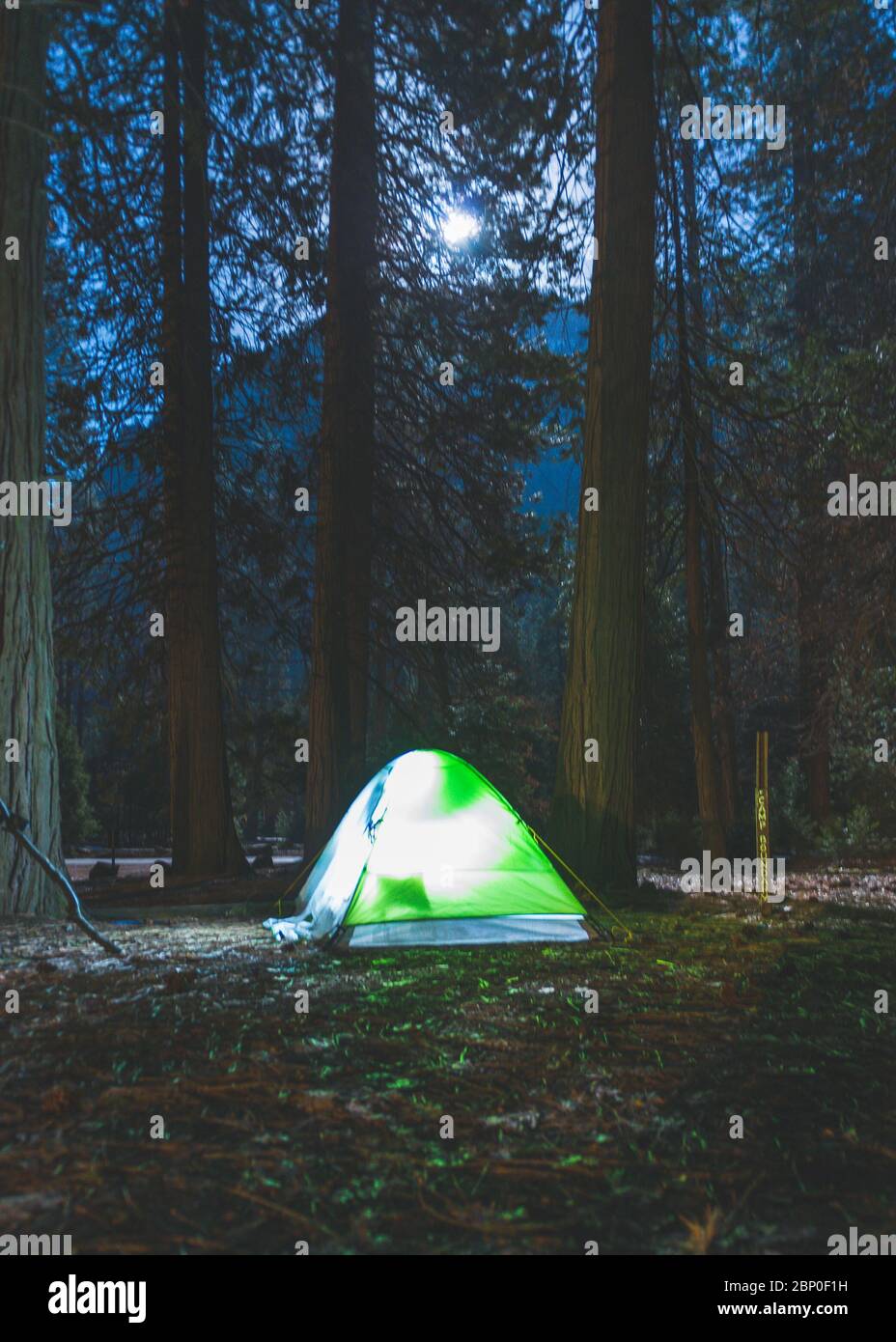 camping at night on full moon day in campground area in National park ...