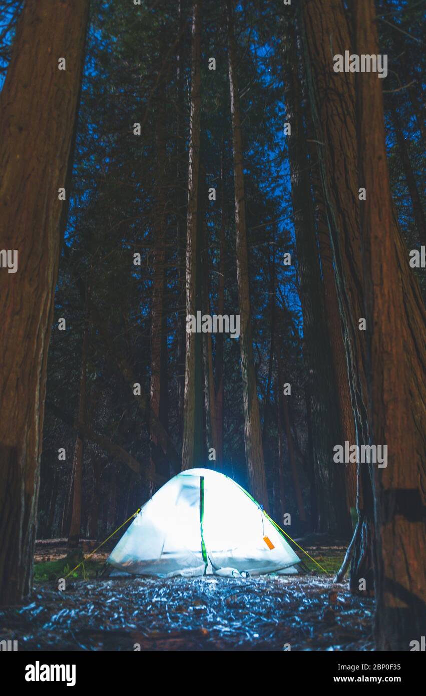 camping at night on full moon day in campground area in National park ...