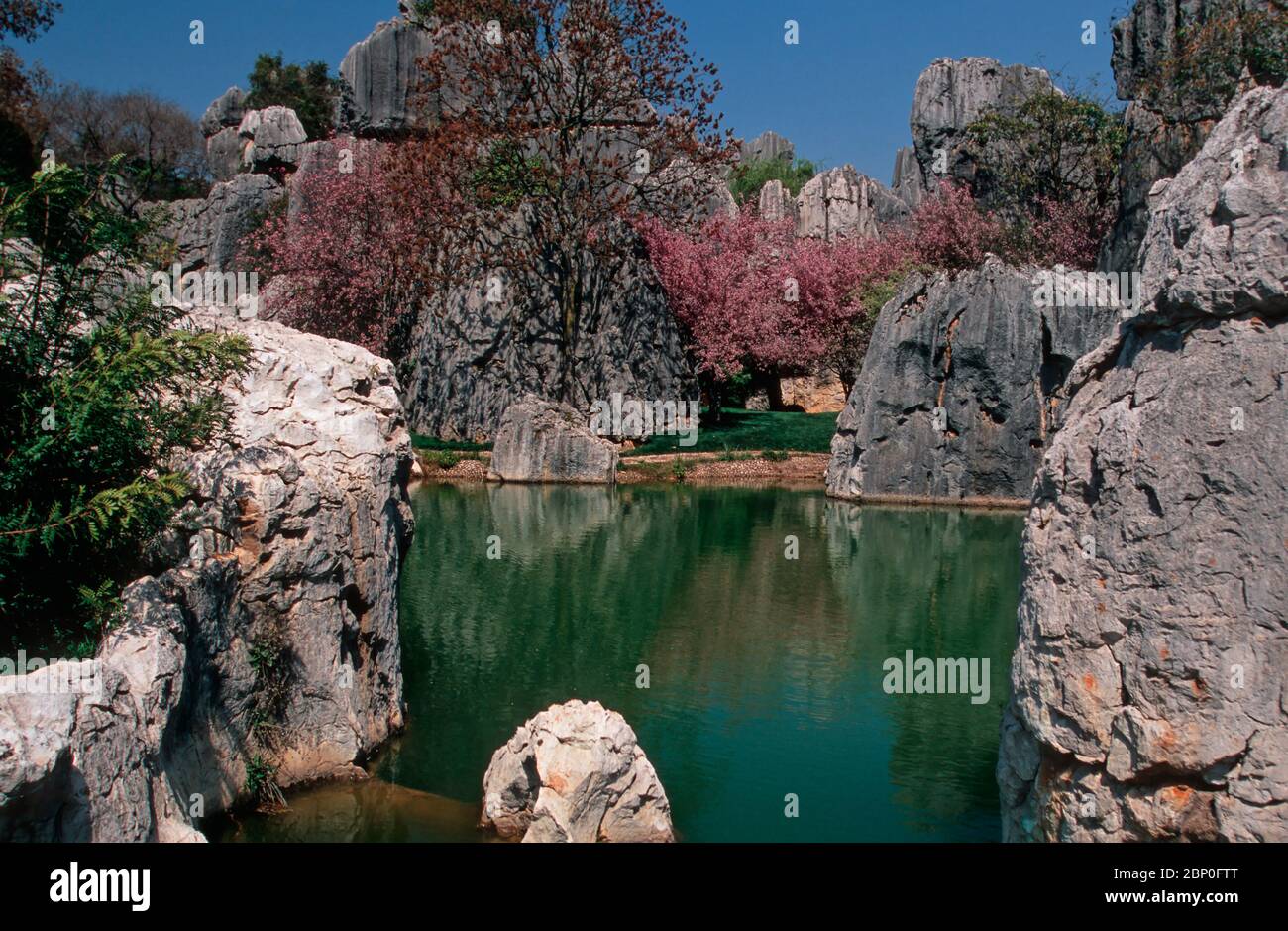 Lin hu hi-res stock photography and images - Alamy