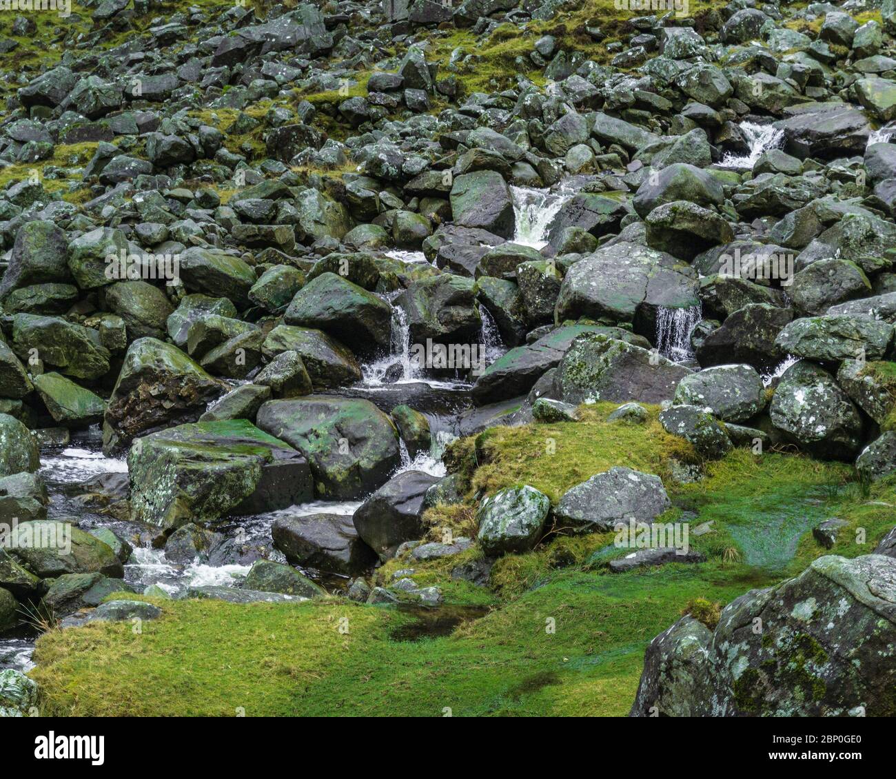 Rocky terrain grass hi-res stock photography and images - Alamy