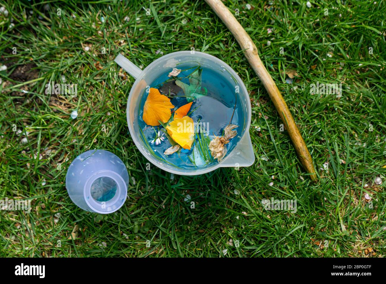 Home-schooling: learning about liquids and volume Stock Photo - Alamy