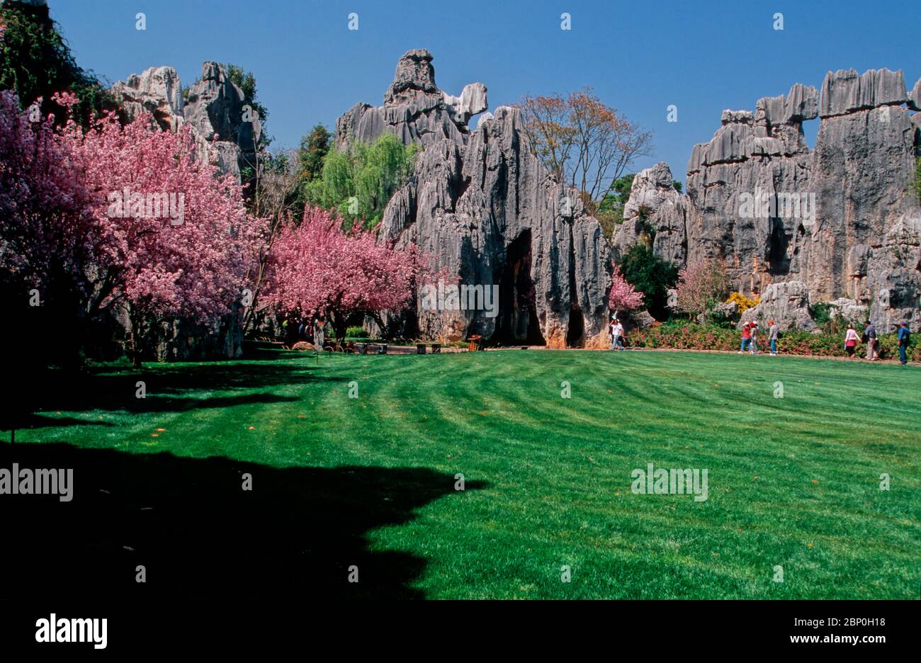Xiao shi lin china hi-res stock photography and images - Alamy