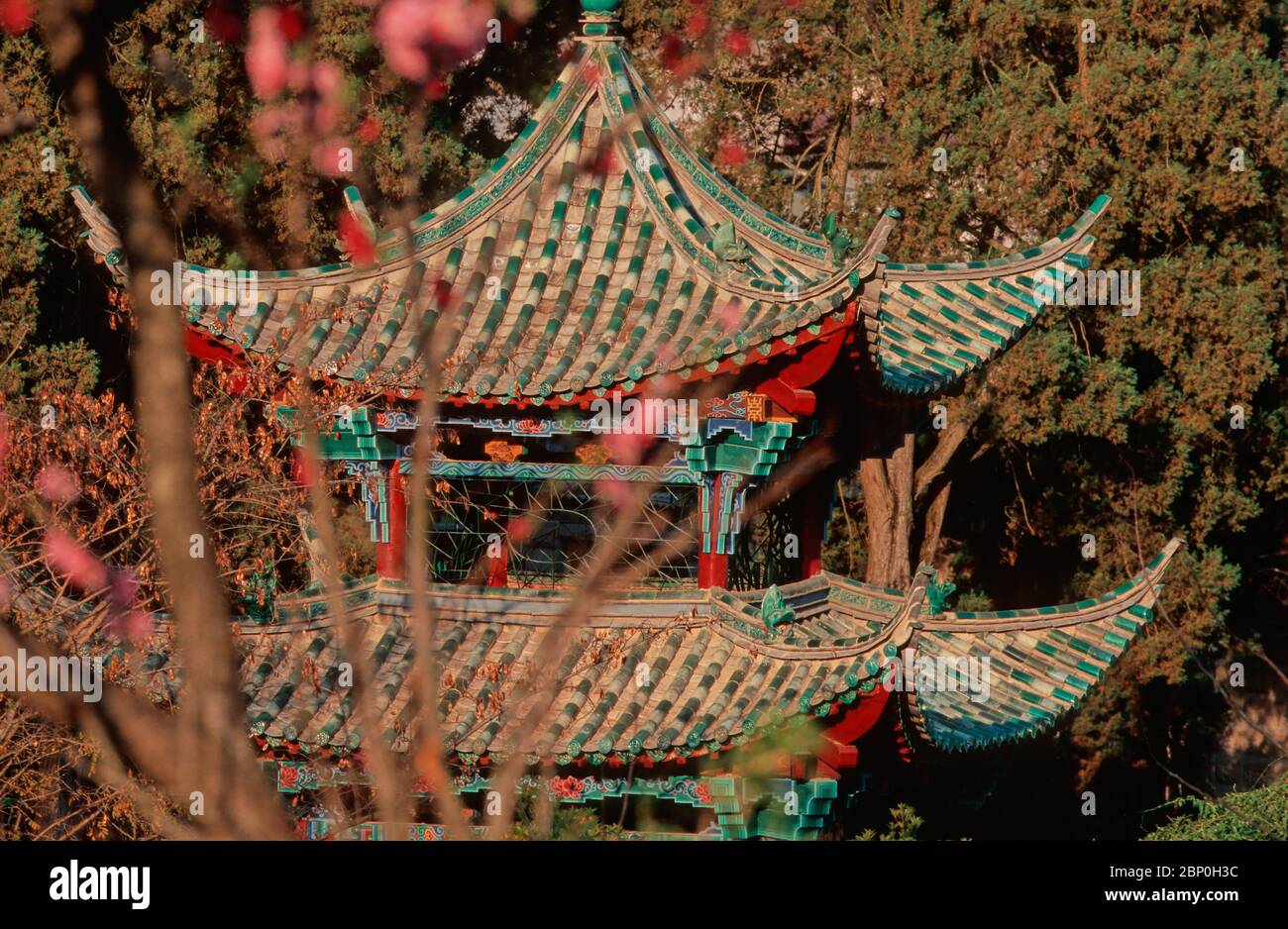 SIGN BOARD, SHI LIN STONE FOREST, KUNMING, YUNNAN, CHINA Stock Photo ...
