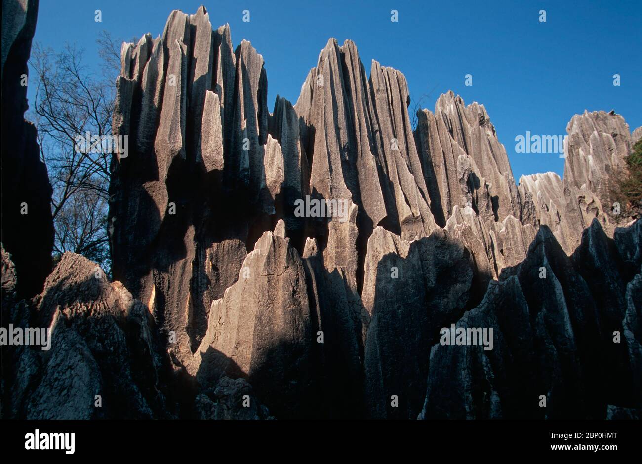 PINNACLES IN SHI LIN STONE FOREST, KUNMING, YUNNAN, CHINA Stock Photo ...