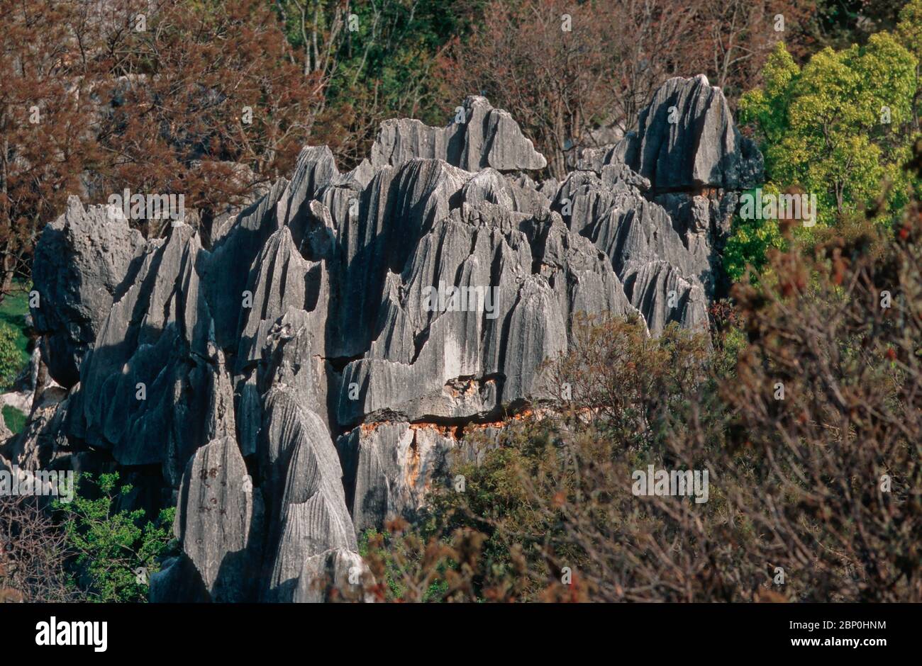 PINNACLES IN SHI LIN STONE FOREST, KUNMING, YUNNAN, CHINA Stock Photo ...