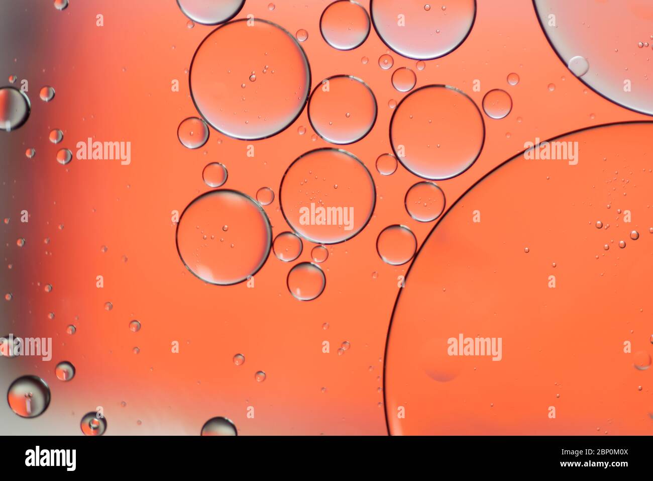 Colorful artistic of oil drop floating on the water Stock Photo - Alamy