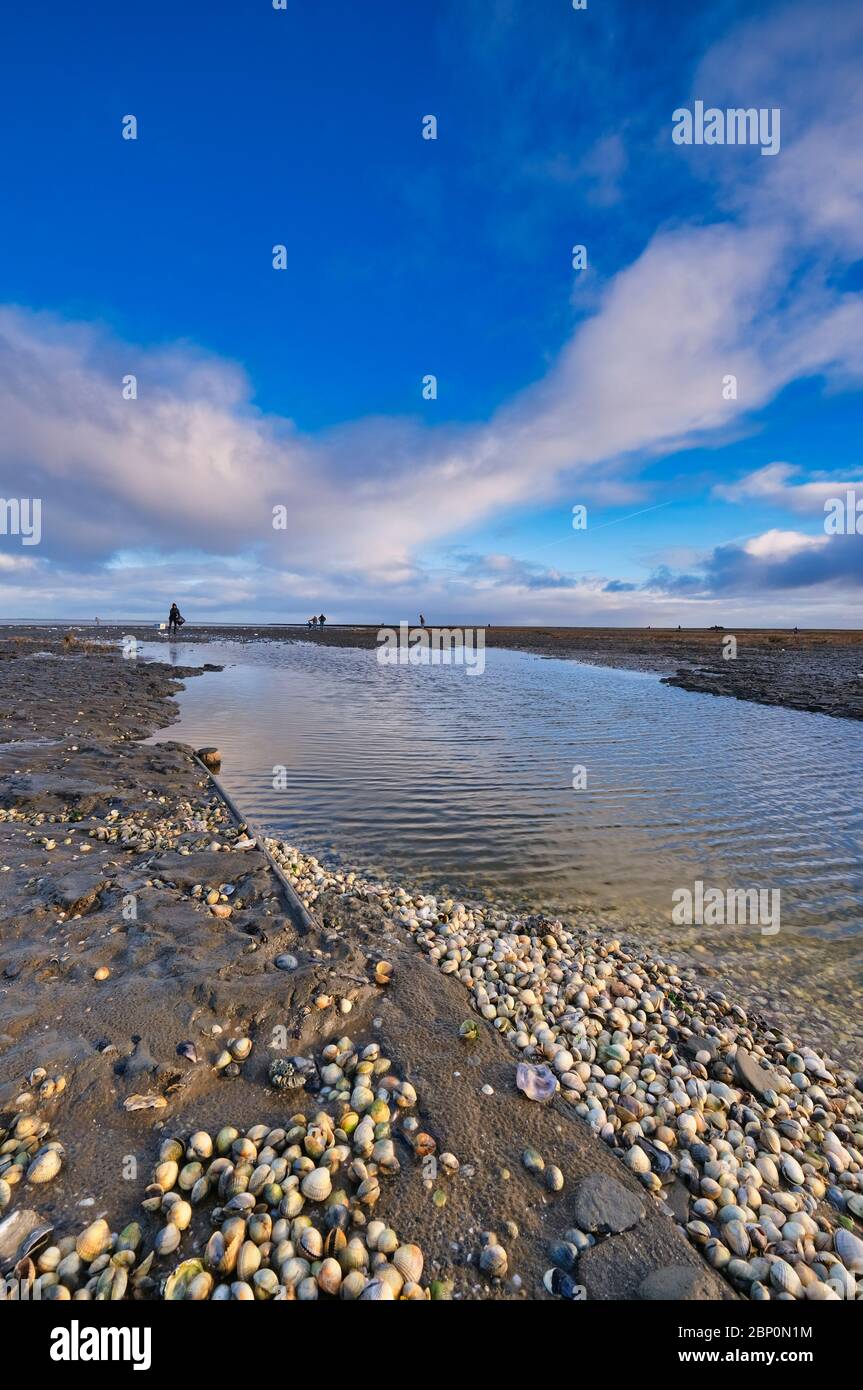 Unclean beach polluted beach hi-res stock photography and images - Alamy