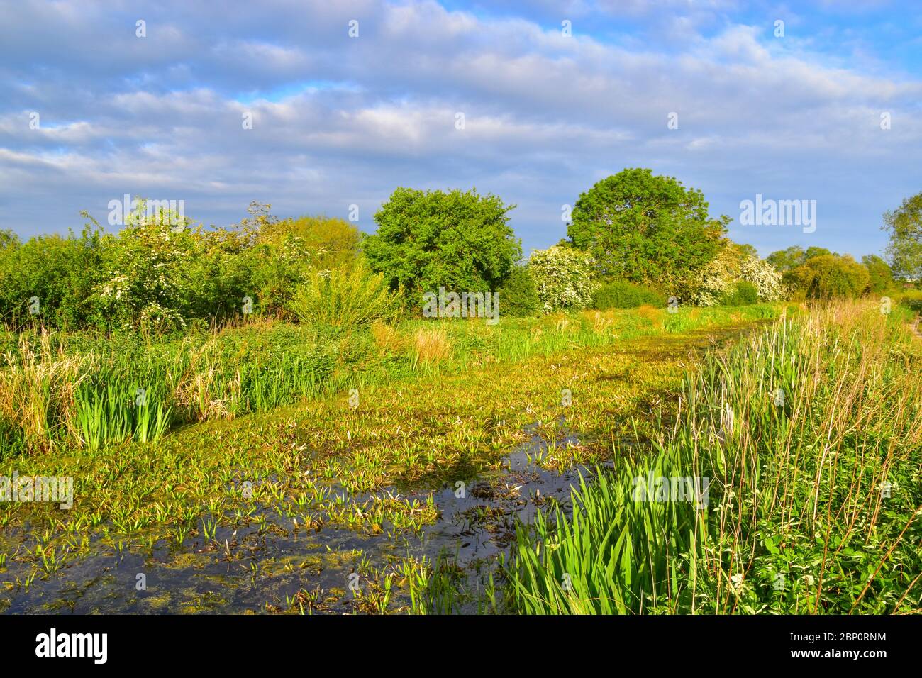 Grantham canal belvoir hi-res stock photography and images - Alamy