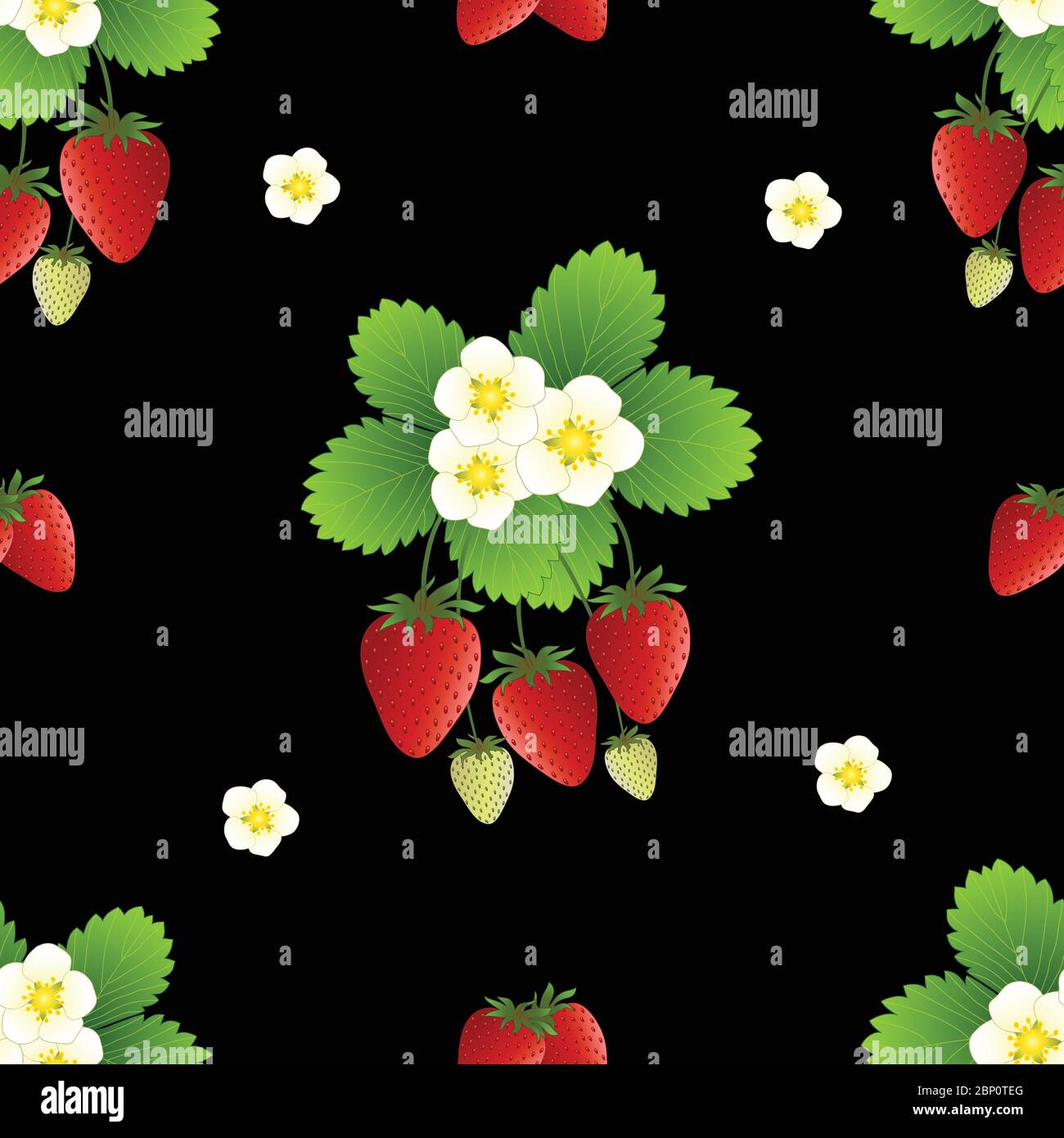 Red Strawberry and Flower on Black Background. Vector Illustration ...