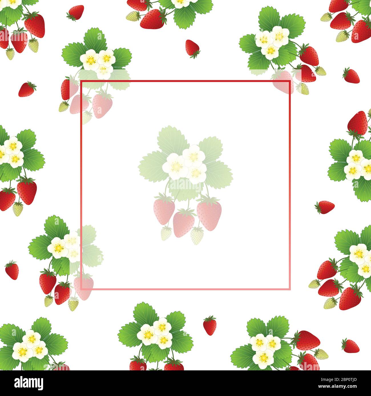 White strawberry bloom Stock Vector Images - Alamy