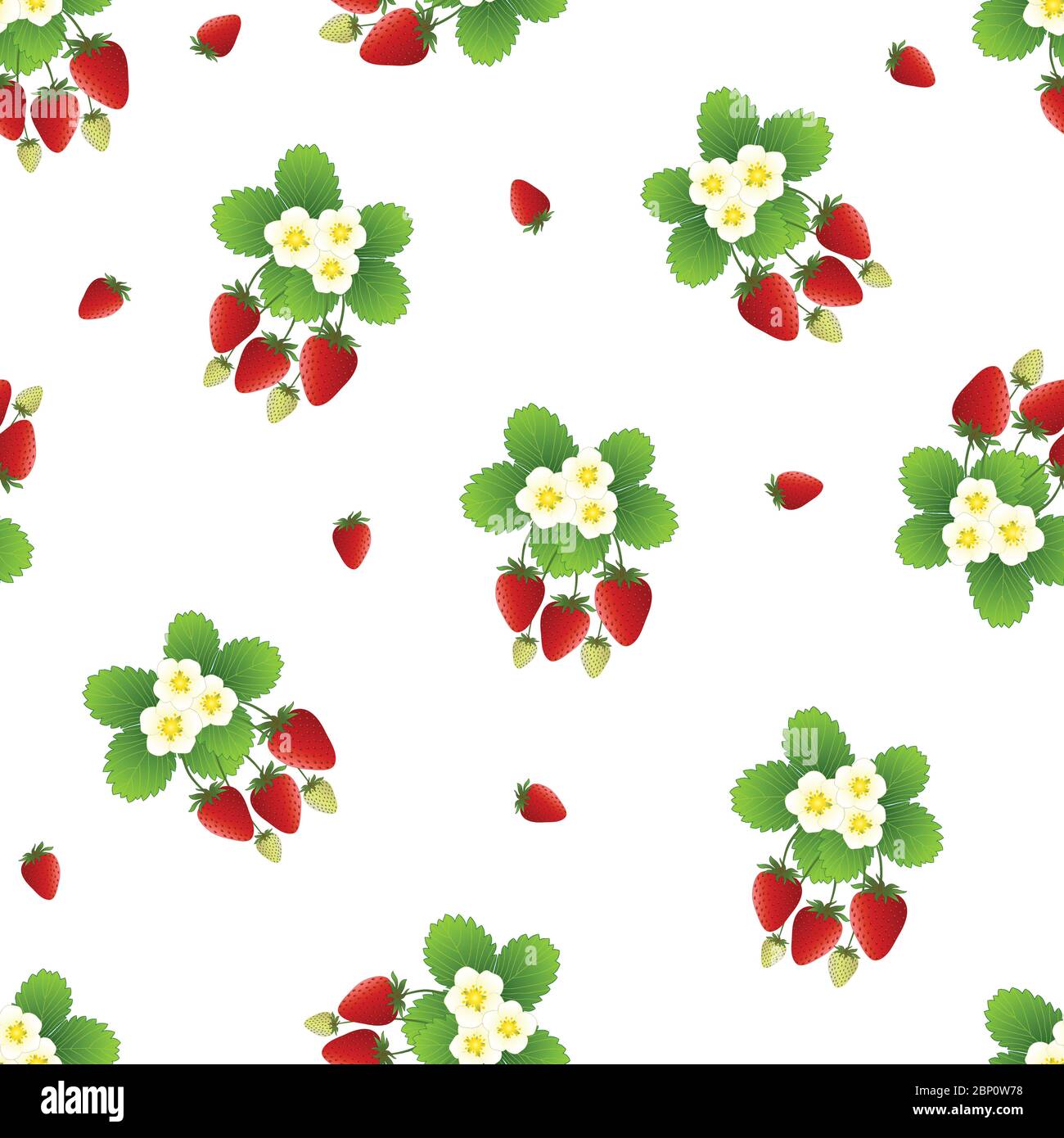 Red Strawberry and Flower Seamless on White Background. Vector ...