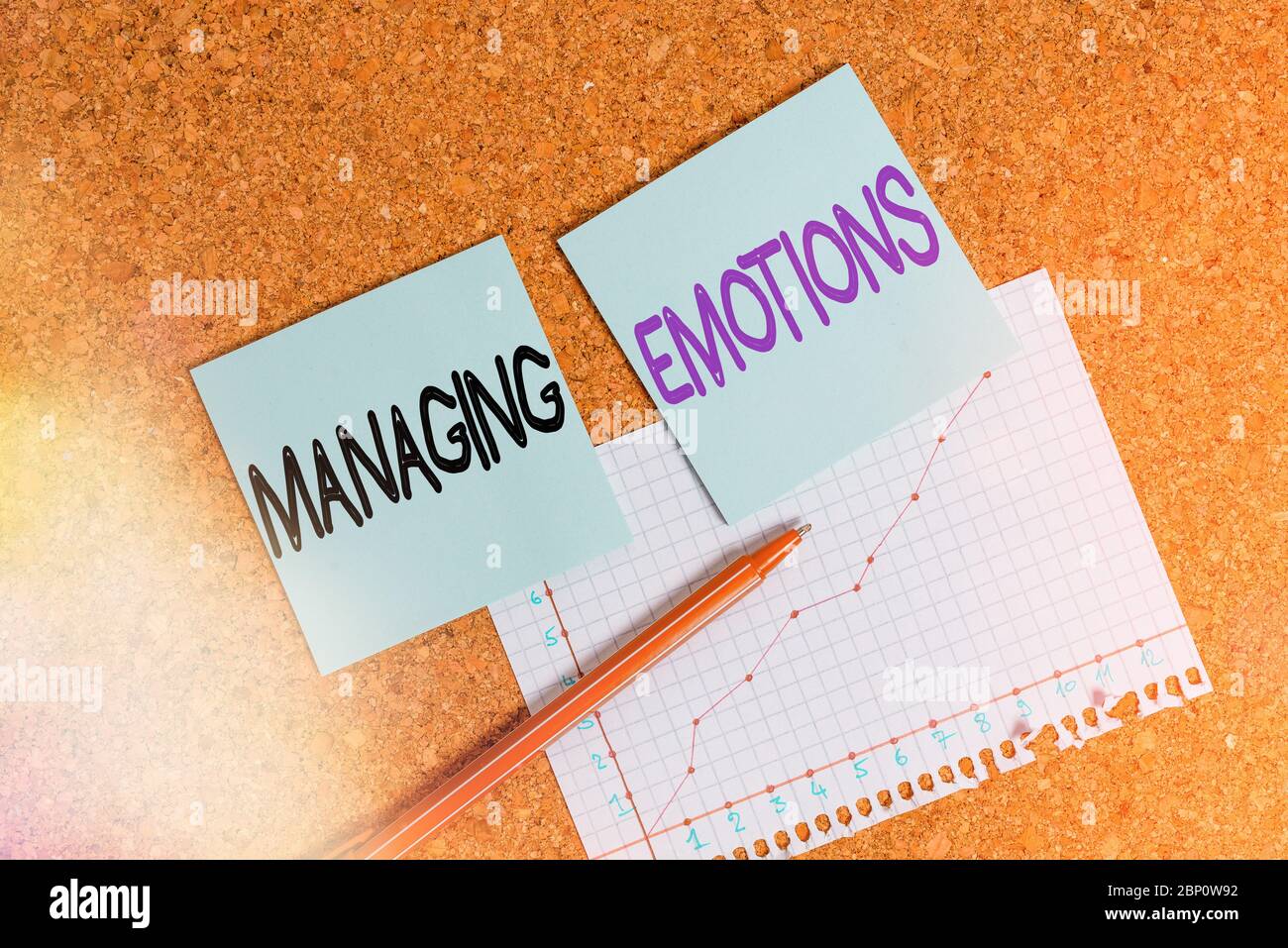 Text sign showing Managing Emotions. Business photo text ability be ...