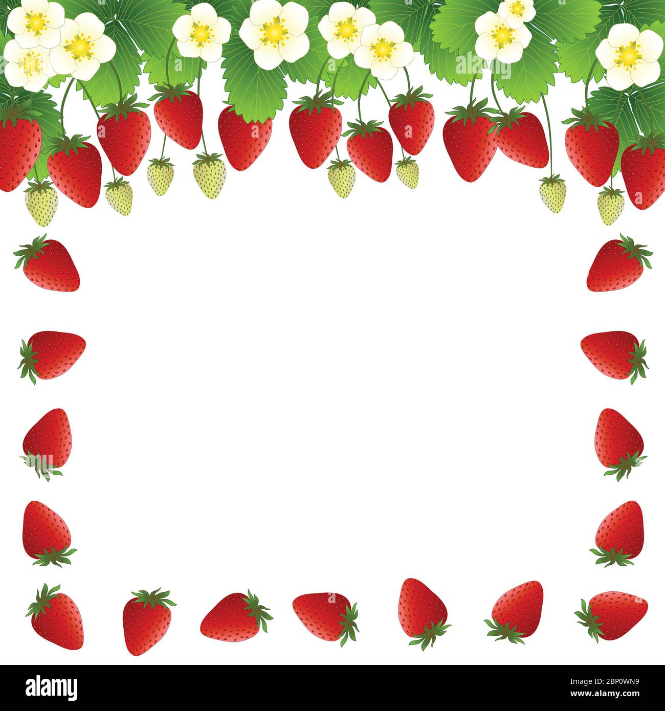 Strawberry Frame
