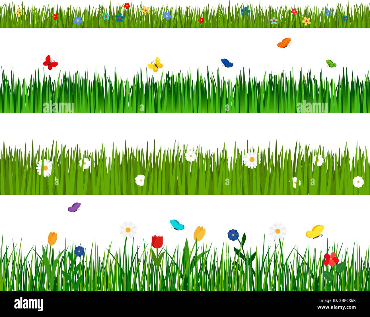 Spring green grass and flowers horizontal seamless pattern isolated on ...
