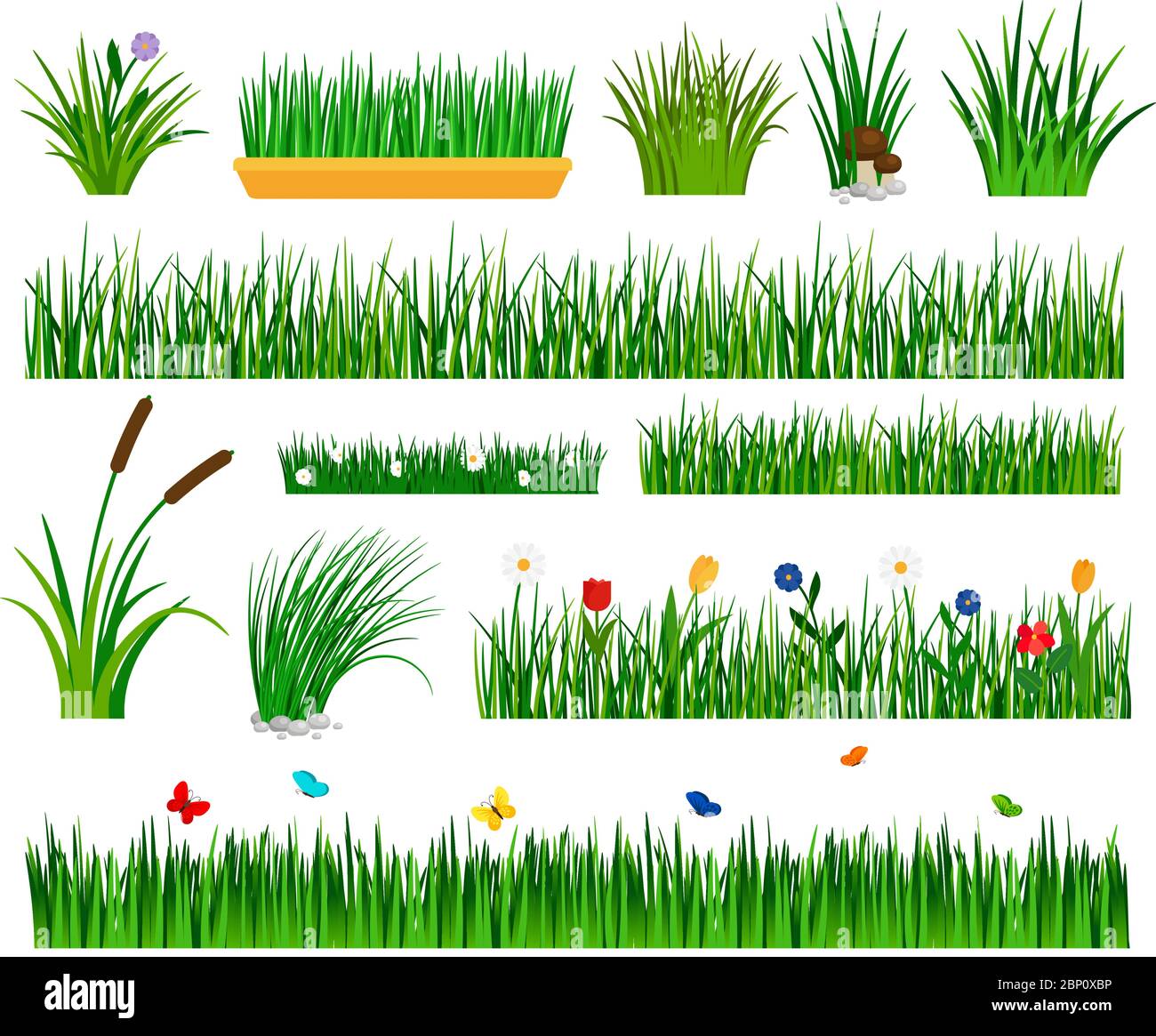 Growing grass template for garden vector. Gardener section and boxes ...