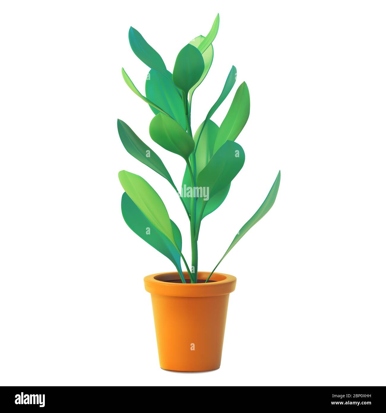 Interior design plant ficus Stock Vector Images - Alamy