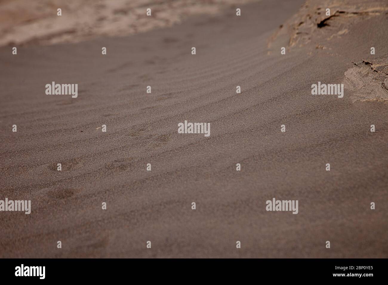 Desert sand photographed closely for details Stock Photo - Alamy