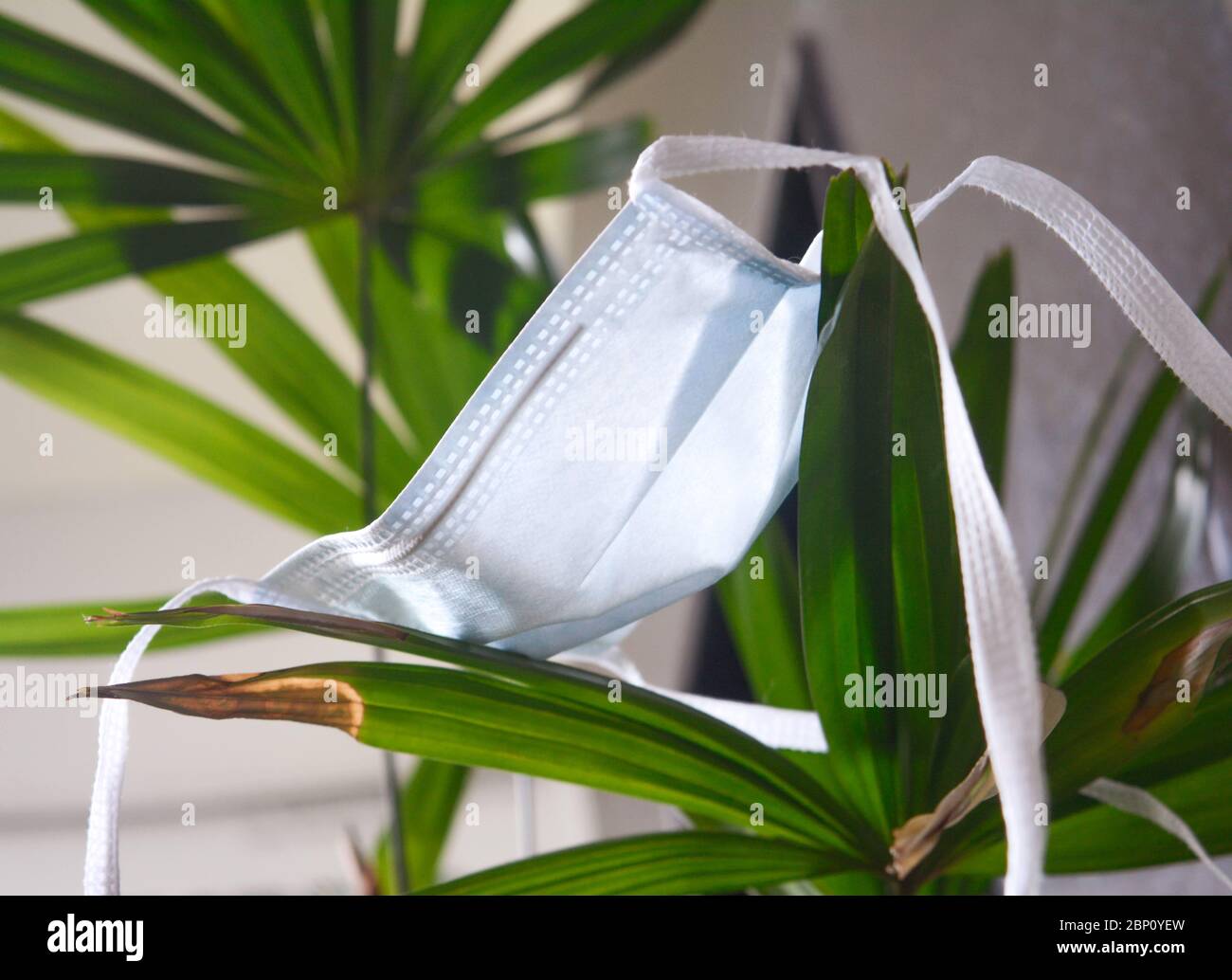 Mask lying on green plants hi-res stock photography and images - Alamy