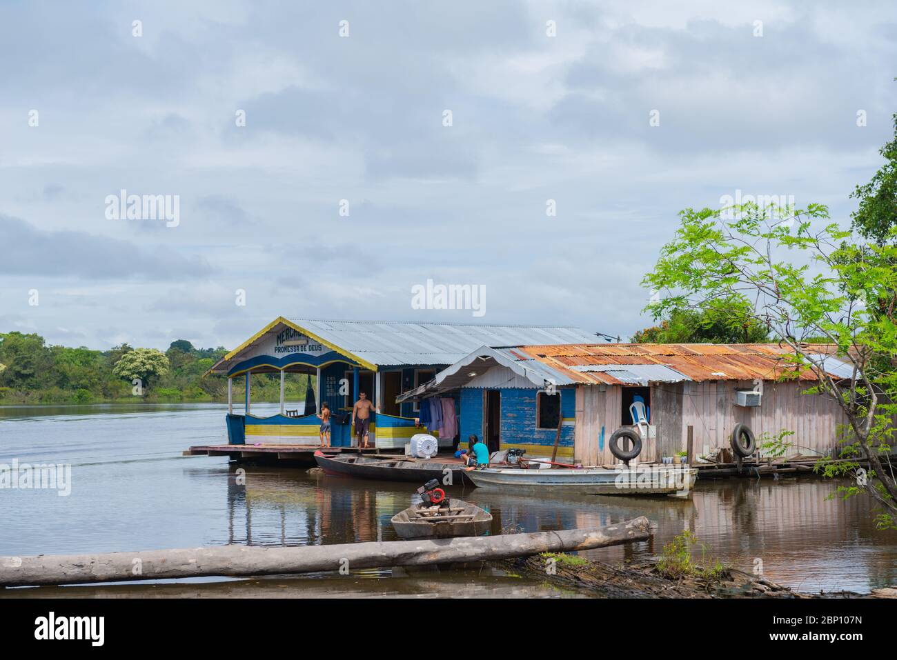 Amazonas River near Manaus, The Amazon, Brazil, Latin Amerika Stock ...