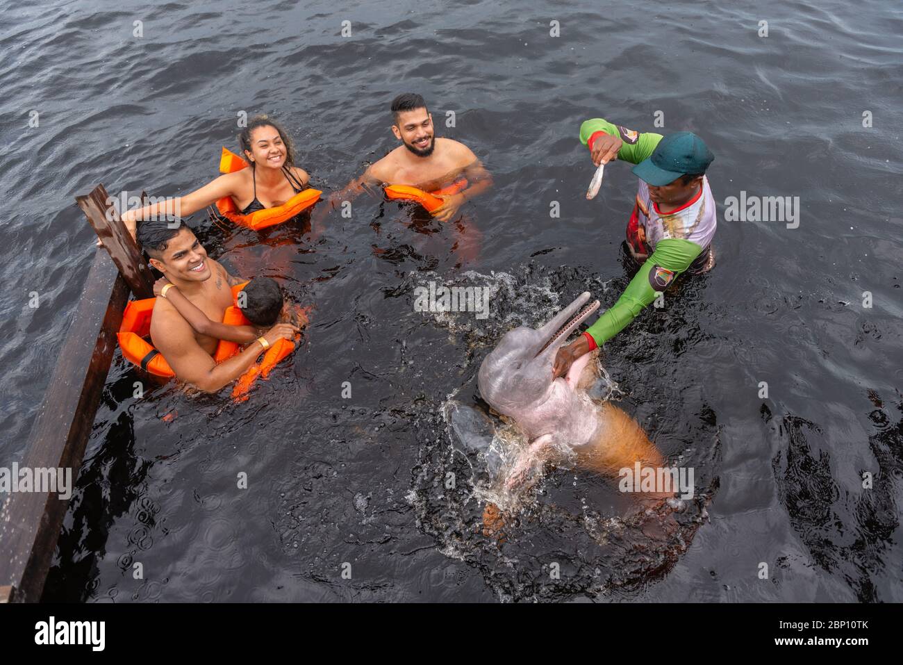 Tourists in swimsuits watching the Feeding of a pink river dolphin ...