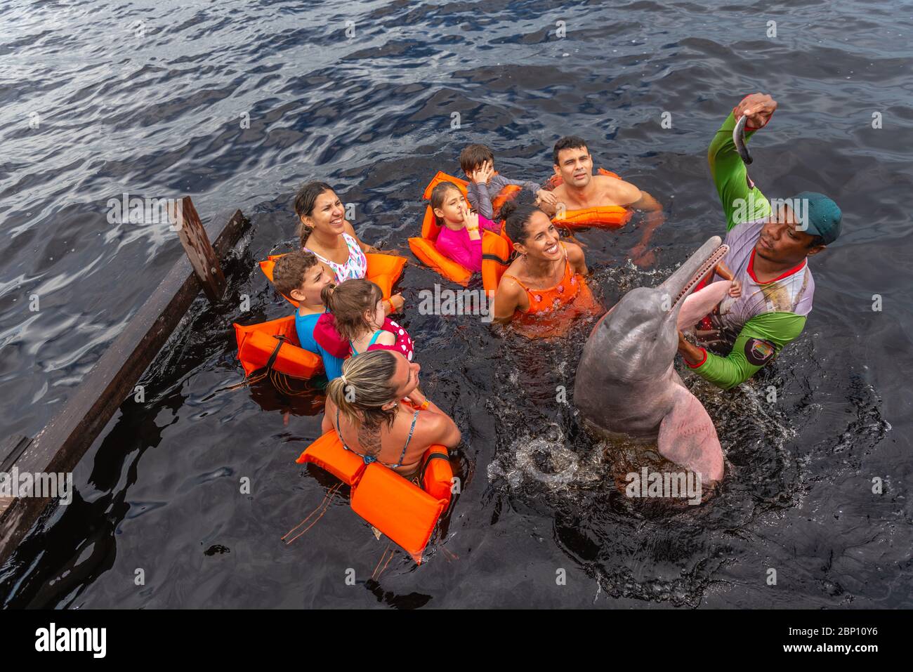 Tourists in swimsuits watching the Feeding of a pink river dolphin ...