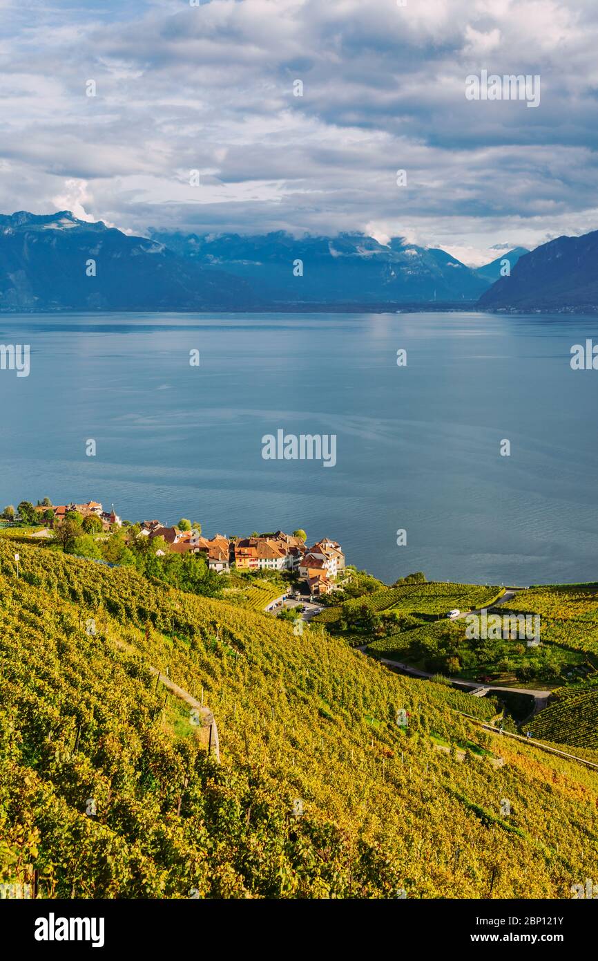 Lavaux, Switzerland: Lake Geneva and the Swiss Alps landscape seen from ...