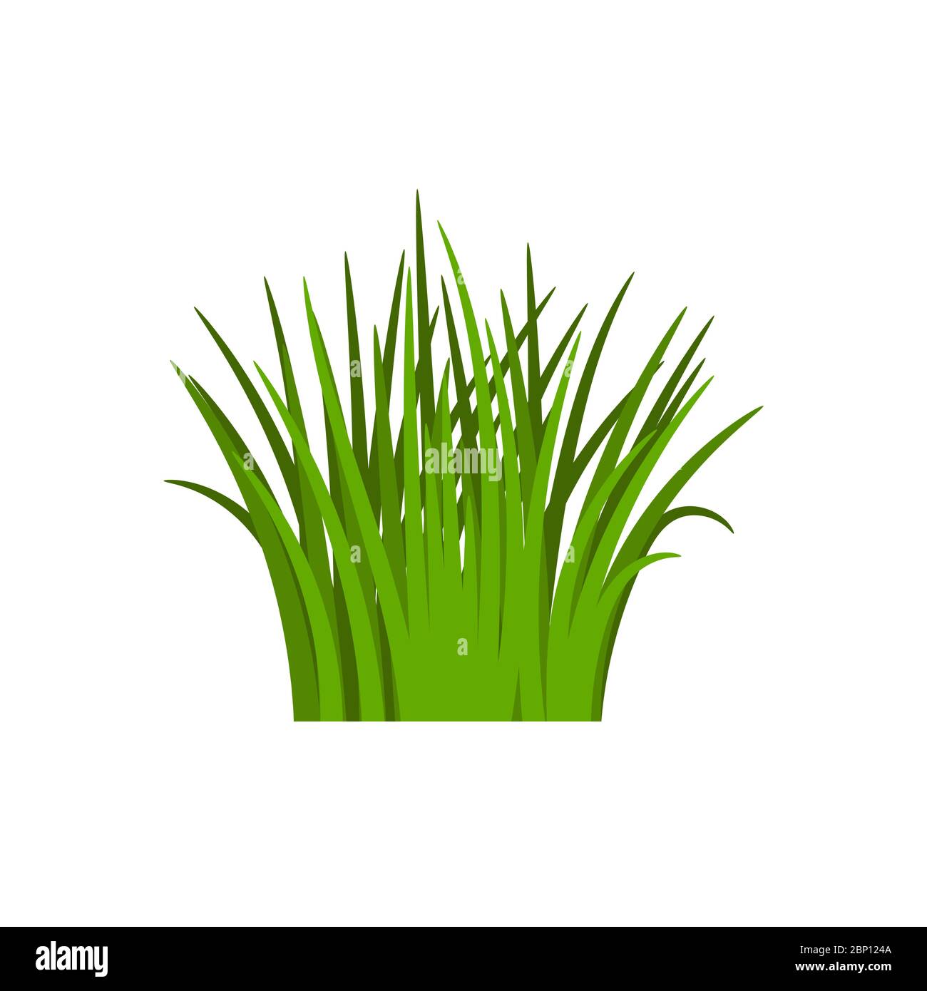Light green grass isolated on white background, vector illustration ...