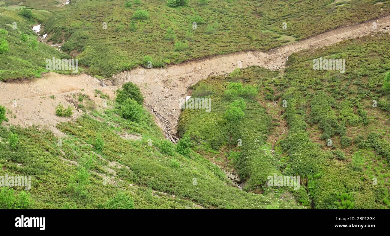 Wild grass and rocks on highland meadow at the slop of the mountain ...