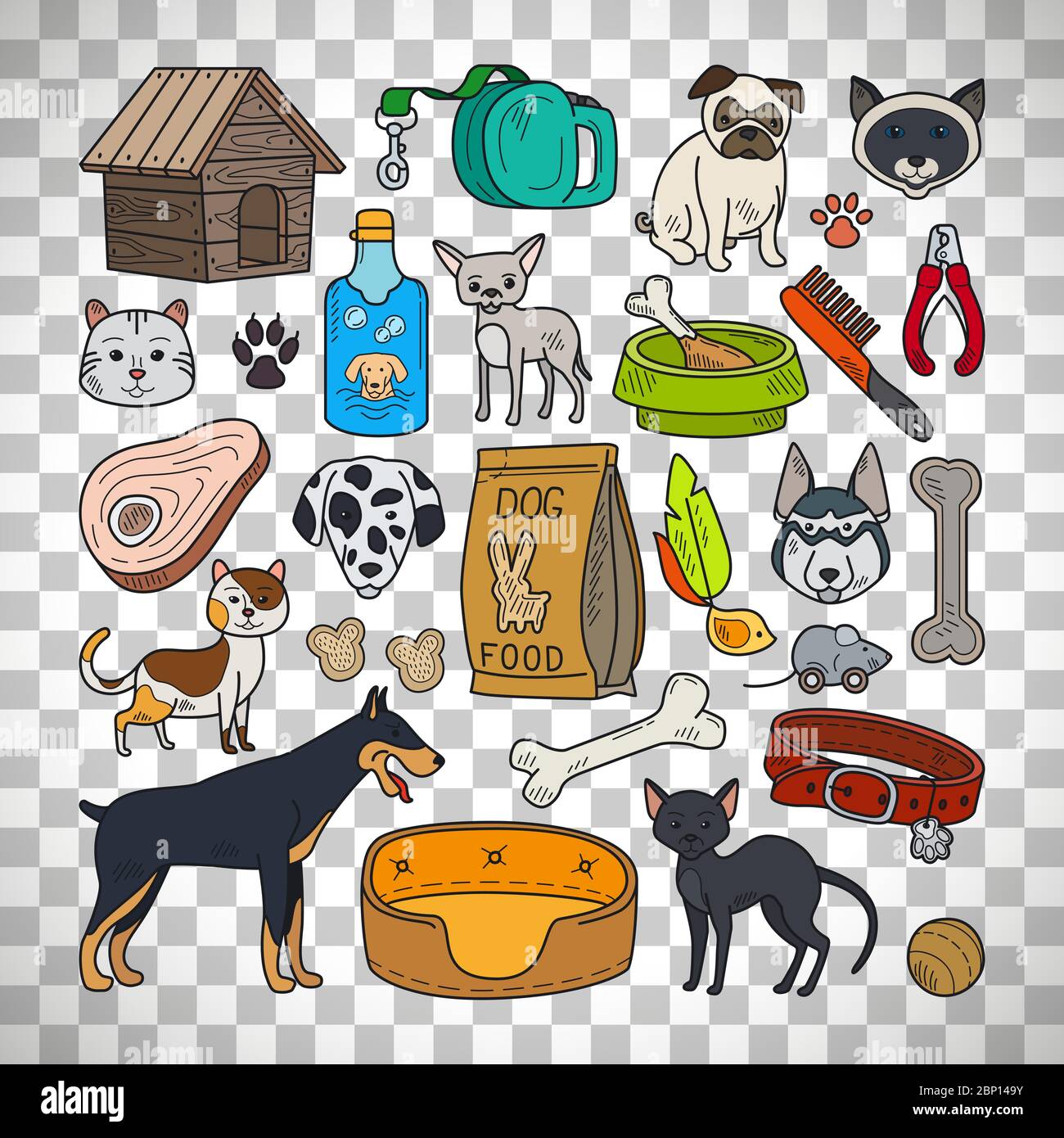 Vector hand drawn pets. Cats and dogs isolated on transparent ...