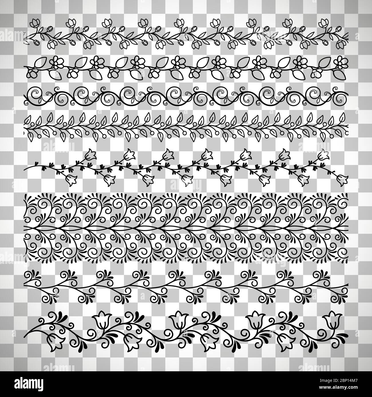 Vector floral line border set isolated on transparent background Stock ...