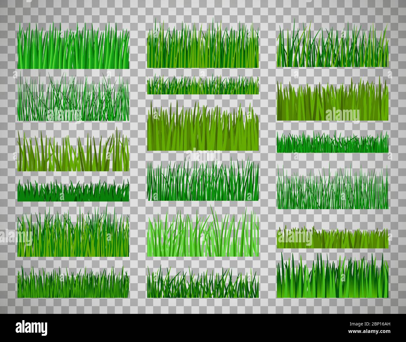 Vector green grass. Grass border horizontal set isolated on transparent ...
