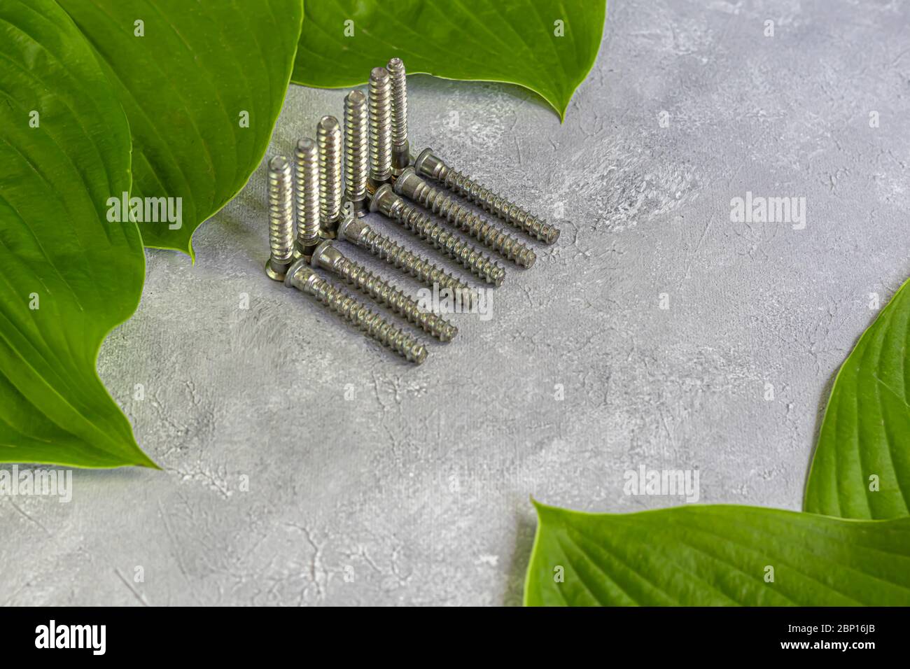 Steel screws, chromed metal screws of various lengths and thicknesses ...